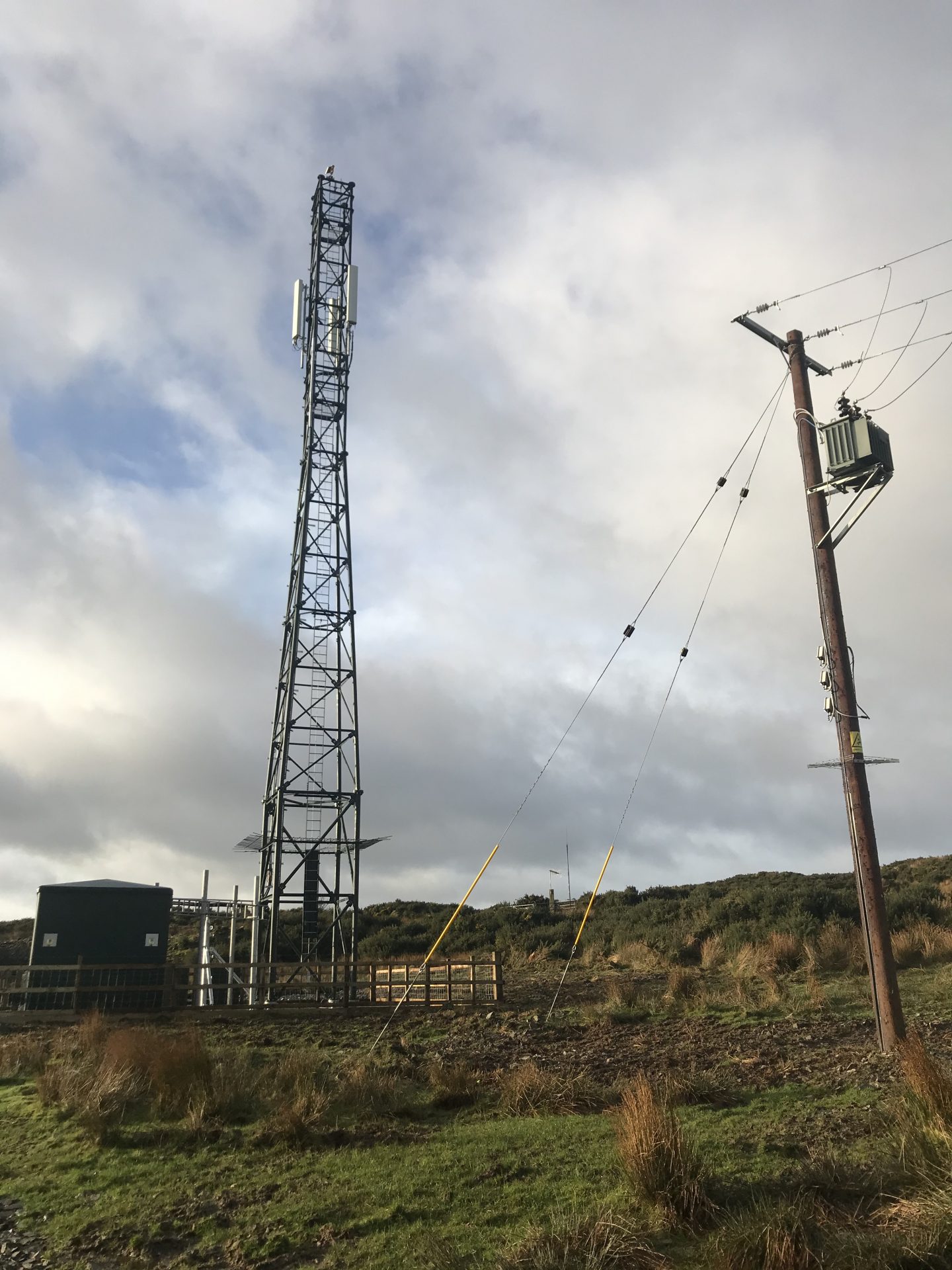 Vodafone brings mobile connectivity to Scottish residents in 'not-spot ...