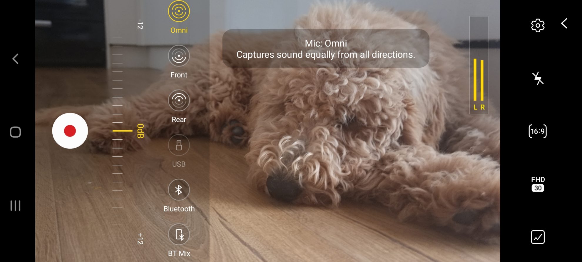 How to record better video selfies and other smartphone filming tips